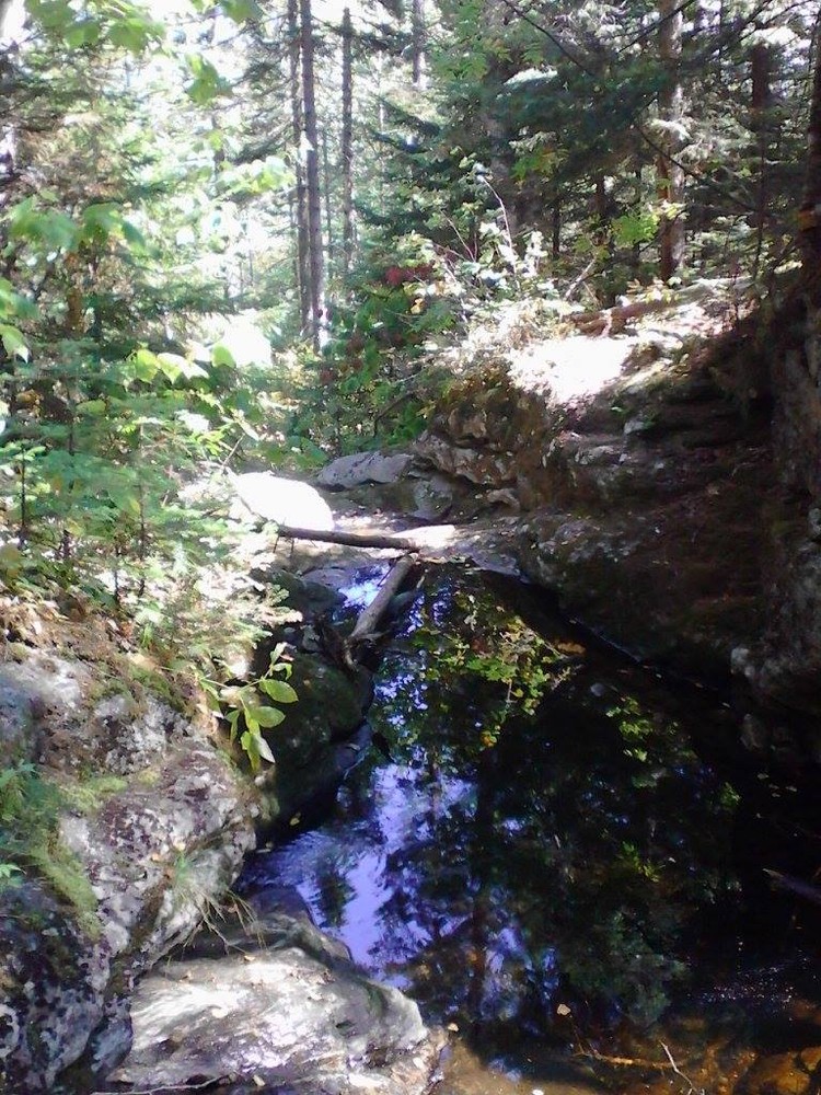 Grafton Notch State Park - Old Speck Mountain and Eyebrow Loop - Maine ...