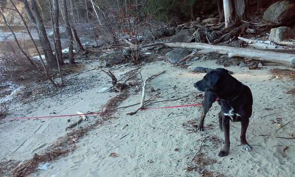 David Rancourt River Preserve - Maine Trail Finder