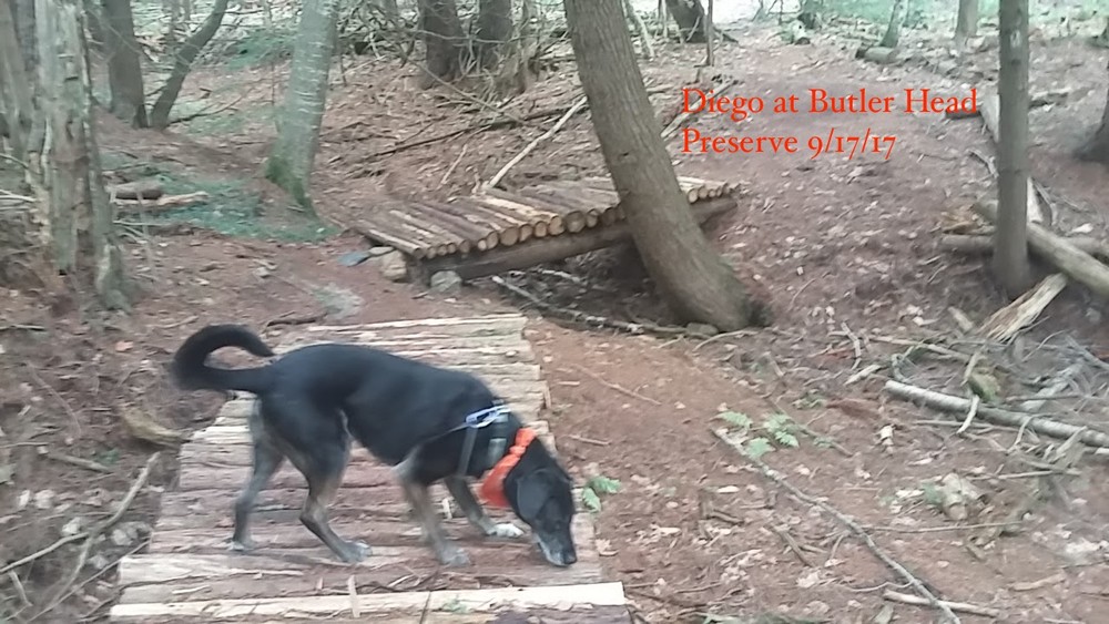 Butler Head Preserve Trails - Maine Trail Finder