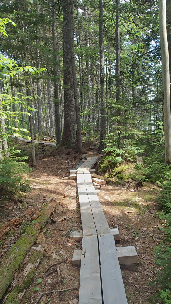 Blue Ridge Trail System - Maine Trail Finder