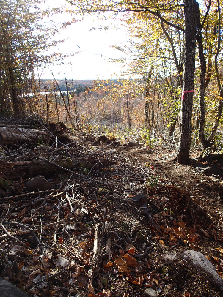 Blue Ridge Trail System - Maine Trail Finder
