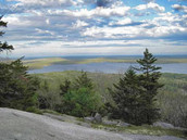 Donnell Pond Public Reserved Land - Caribou Loop - Maine Trail Finder