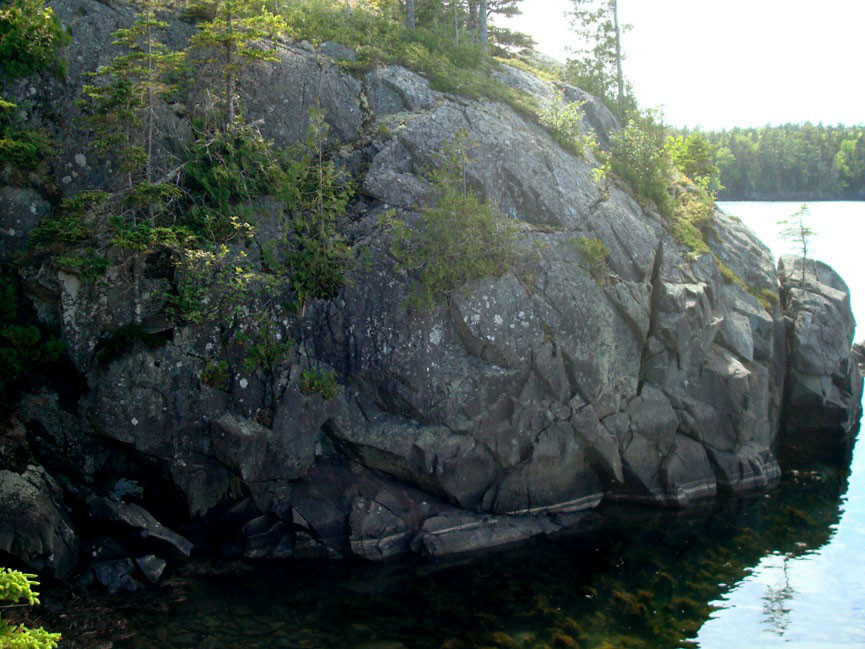 Cobscook Bay Wildlife Management Area - Horan Head Unit - Maine Trail ...