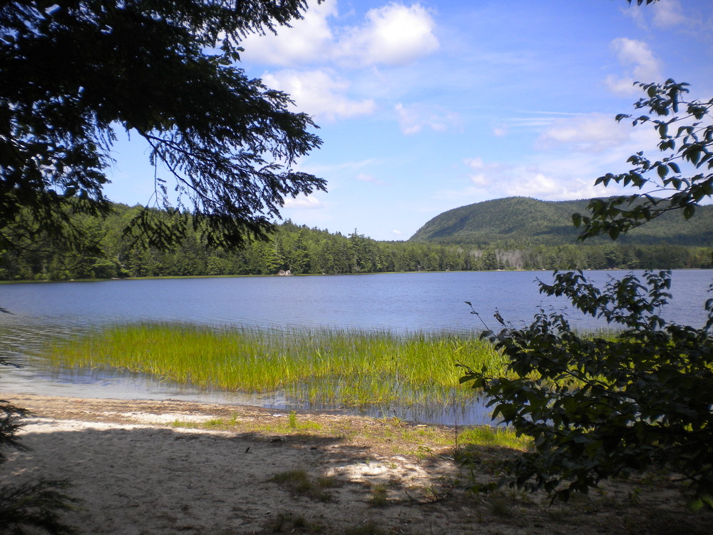 Little Tunk Pond Preserve - Maine Trail Finder