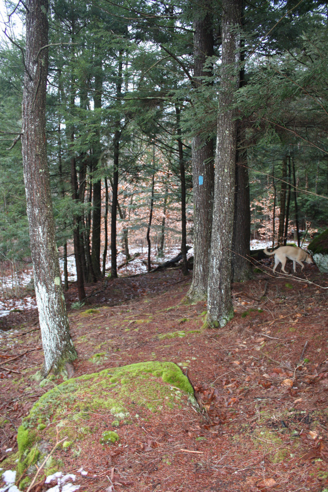 Dave Rock - Maine Trail Finder