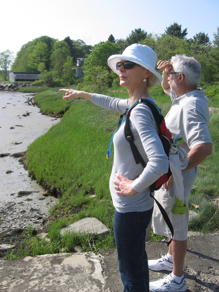 Fore River Trail - Maine Trail Finder