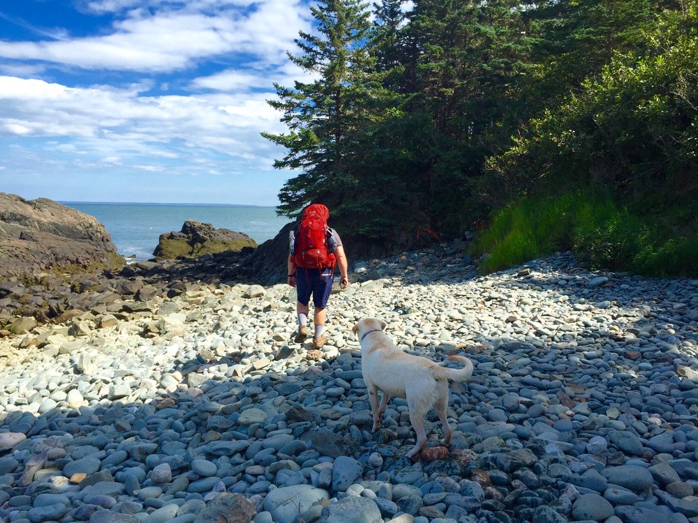 Cutler Coast Public Reserved Land - Maine Trail Finder