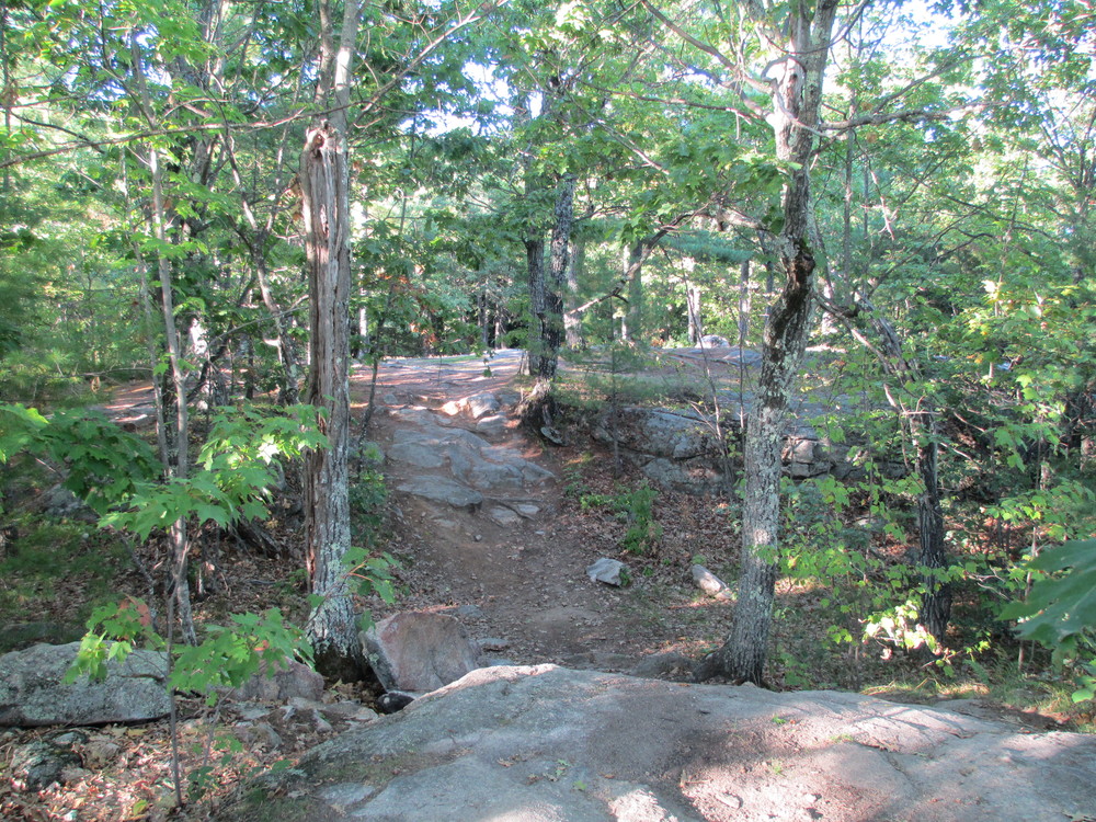 Hatch Preserve at Hawk Mountain - Maine Trail Finder