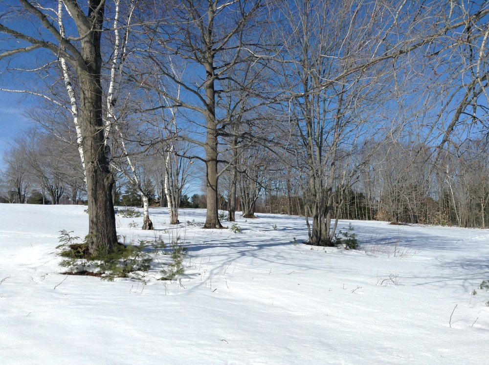 Bangor Municipal Golf Course - Maine Trail Finder