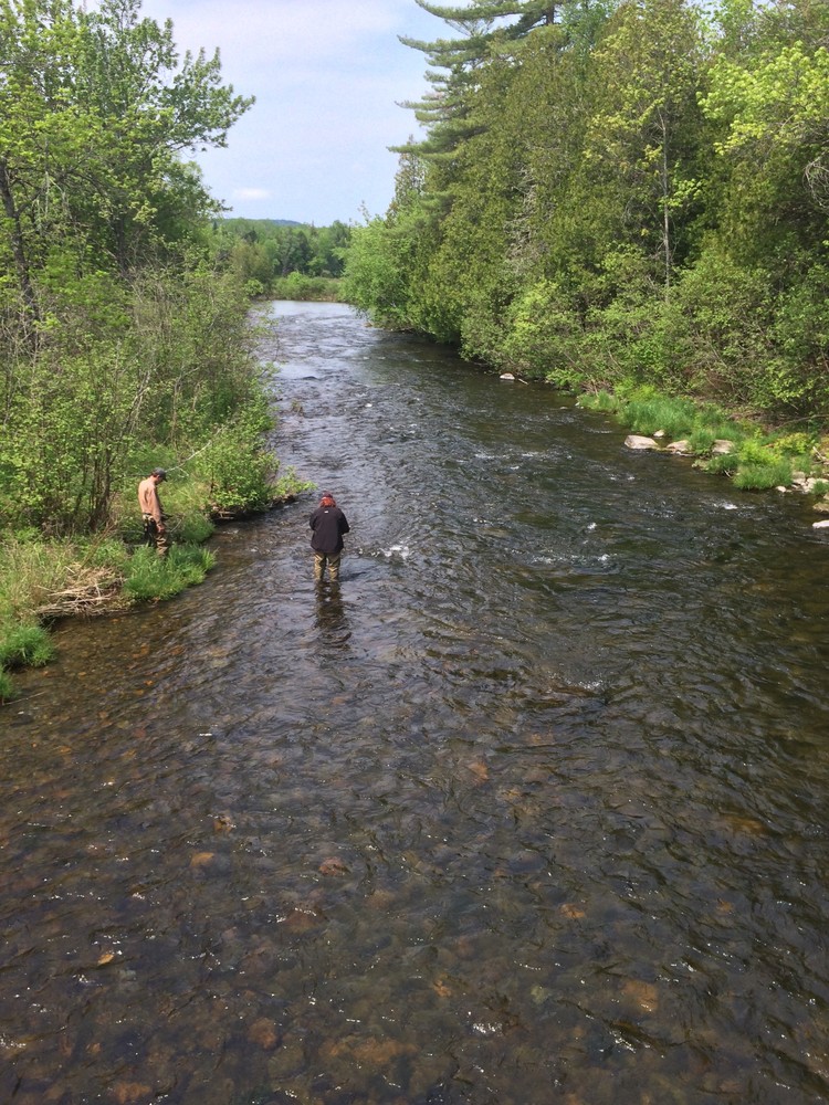 Rangeley River Trail - Maine Trail Finder