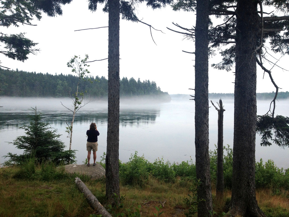 Reversing Falls - Maine Trail Finder