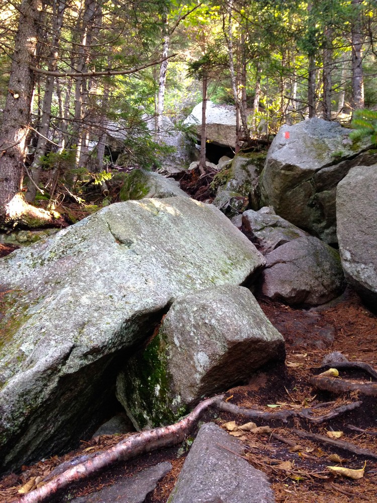 Grafton Notch State Park - Baldpate Mountain and Table Rock Loop ...