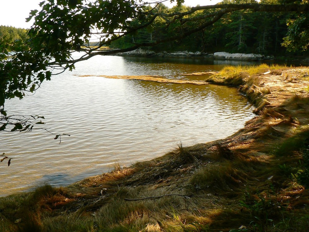 Spirit Pond and McDonald Sanctuary Preserve - Maine Trail Finder