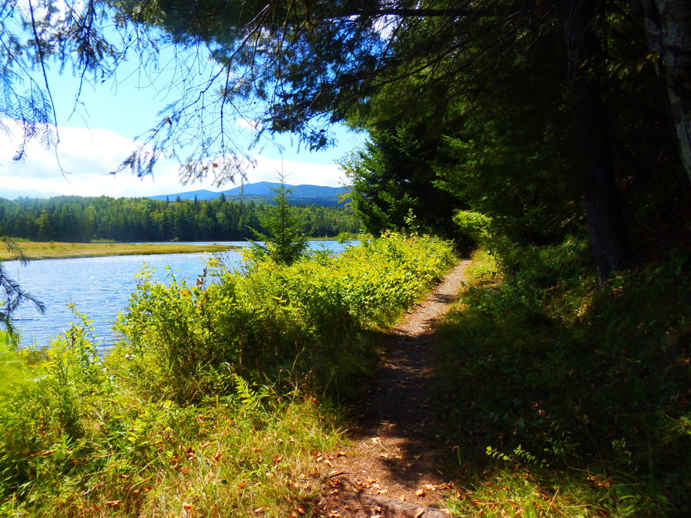 Bigelow Preserve - Fire Warden's and Horns Pond Trails Loop - Maine ...