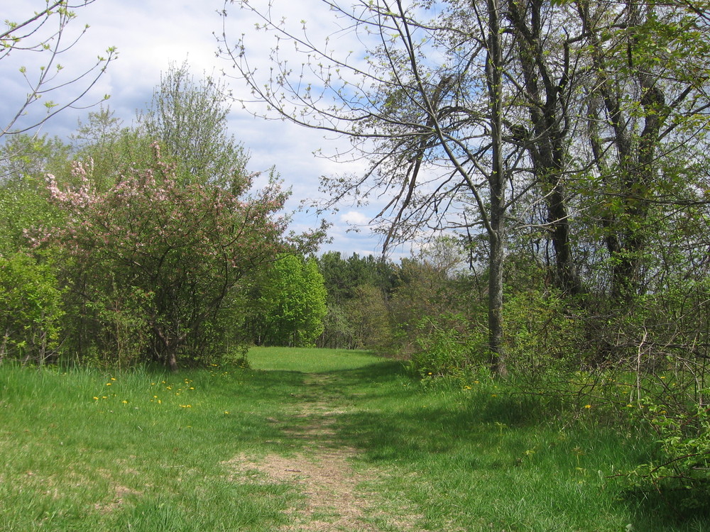 Colby College - Runnals Hill - Maine Trail Finder