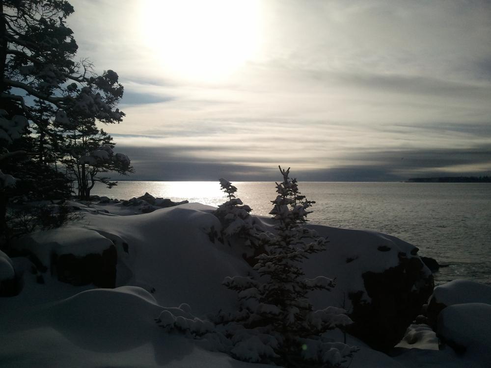 Acadia National Park - Ship Harbor Trail - Maine Trail Finder