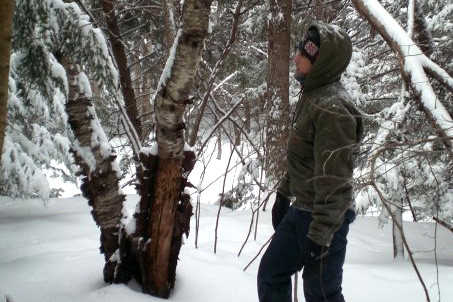 Colby College - Perkins Arboretum - Maine Trail Finder