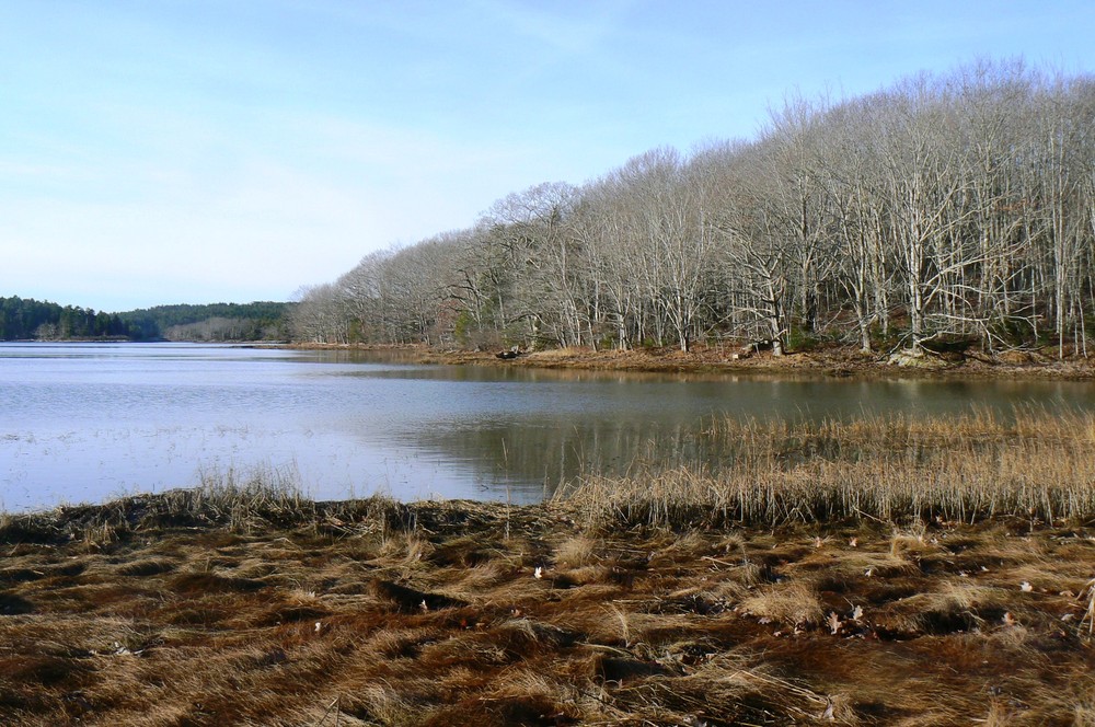 Spirit Pond and McDonald Sanctuary Preserve - Maine Trail Finder