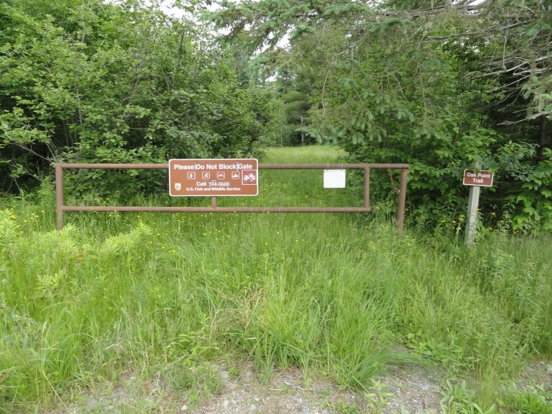 Sunkhaze Meadows NWR - Oak Point Trail - Maine Trail Finder