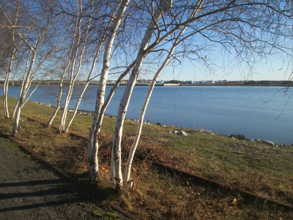 Fore River Parkway - Maine Trail Finder