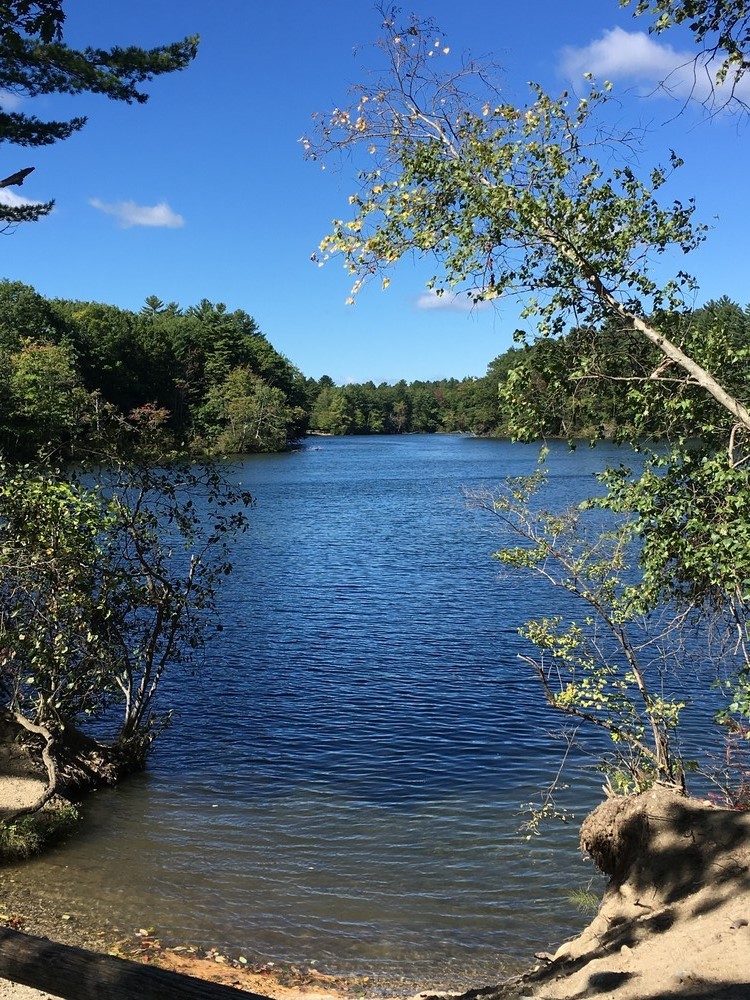 Gambo Preserve and Shaw Park - Maine Trail Finder