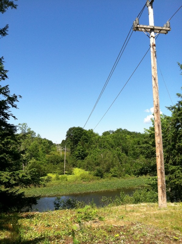 Quarry Road Recreational Area - Maine Trail Finder