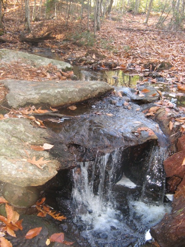 Rines Forest - Maine Trail Finder