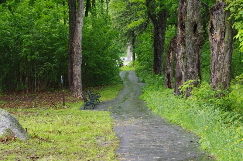 Poland Spring Preservation Park - Maine Trail Finder