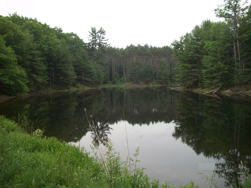 Dodge Point Public Reserved Land - Maine Trail Finder