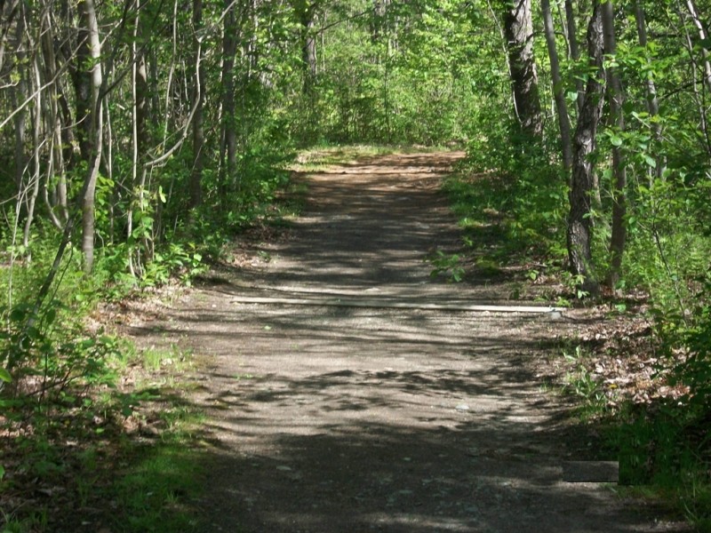 Moose Point State Park - Maine Trail Finder