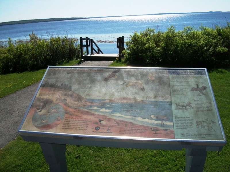 Moose Point State Park - Maine Trail Finder