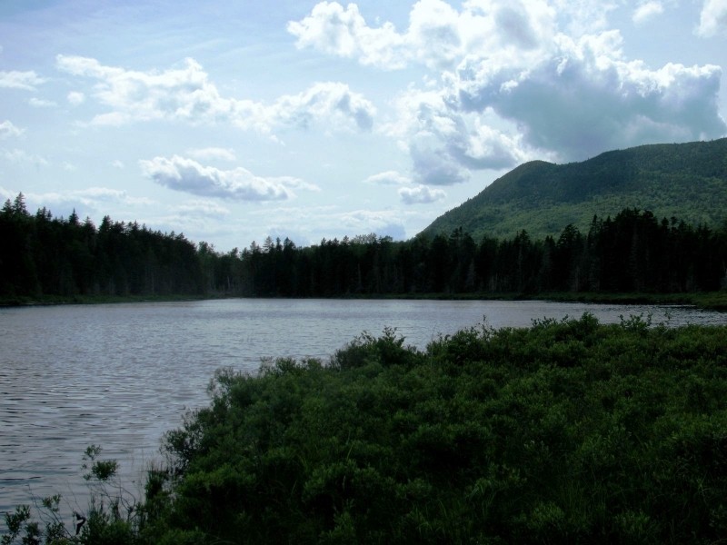 Pearl Ponds Trail - Maine Trail Finder