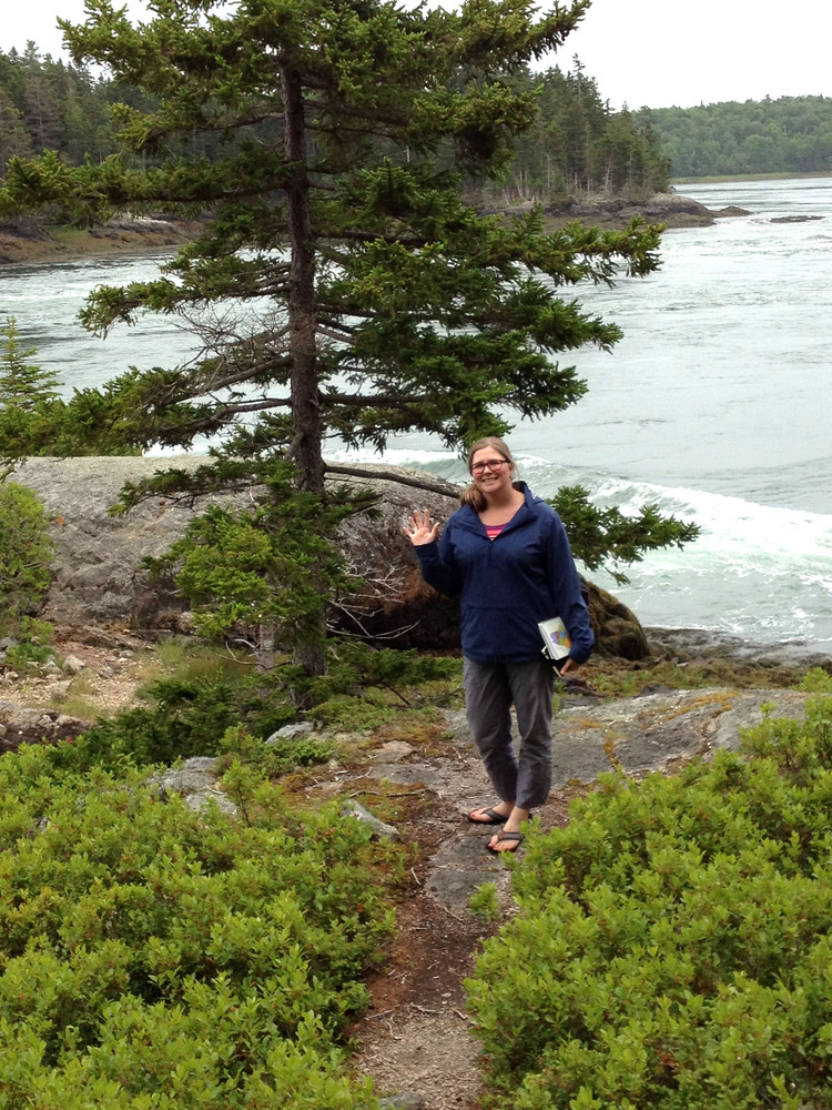 Reversing Falls - Maine Trail Finder