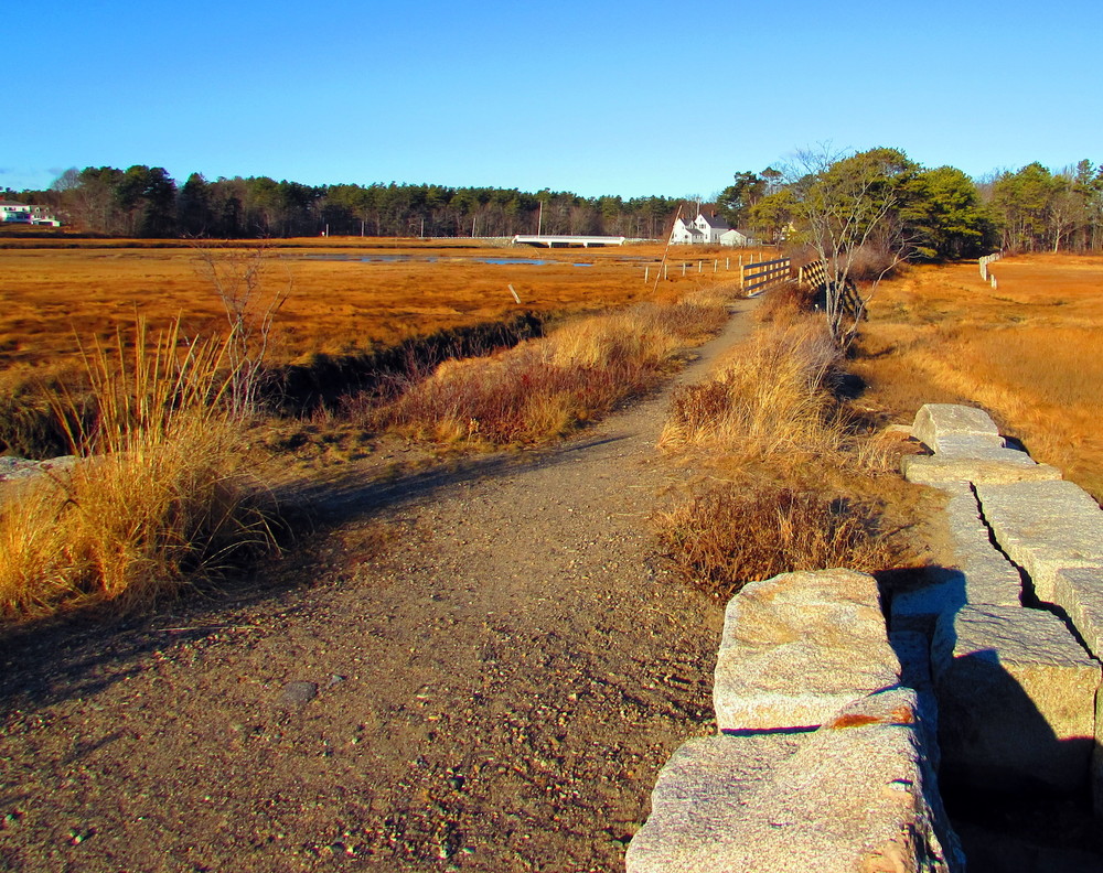 Madelyn Marx Preserve - Maine Trail Finder
