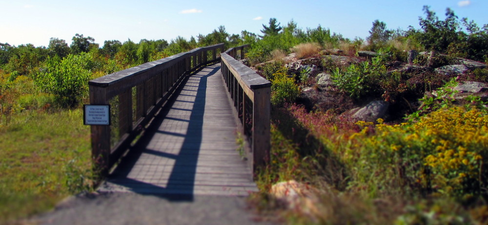 Mount Agamenticus - Maine Trail Finder