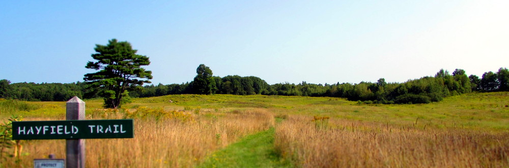 Fuller Farm - Maine Trail Finder