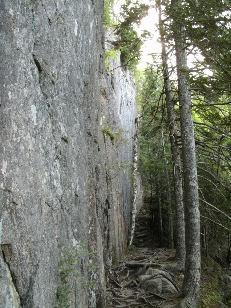 Acadia National Park - Canada Cliff Loop - Maine Trail Finder