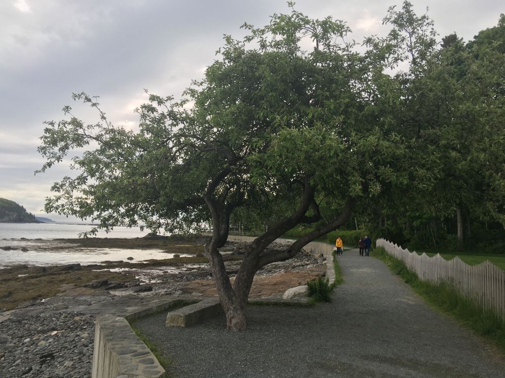 Bar Harbor Shore Path - Maine Trail Finder