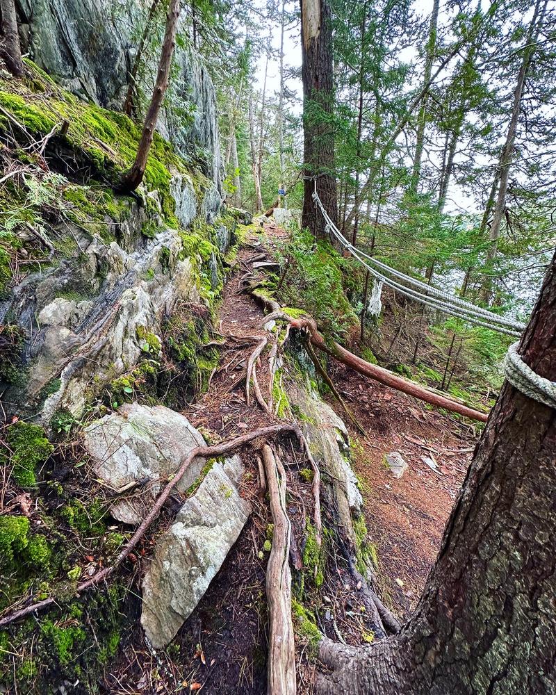 Devil's Back Trail Area - Maine Trail Finder