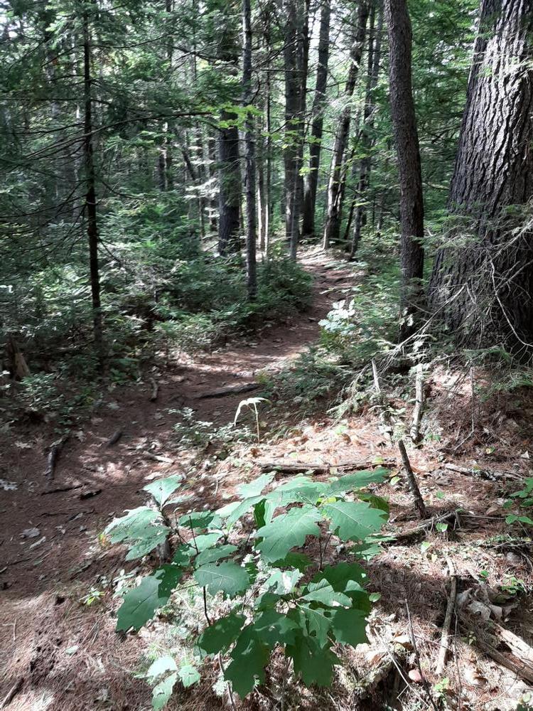 Range Pond State Park - Maine Trail Finder