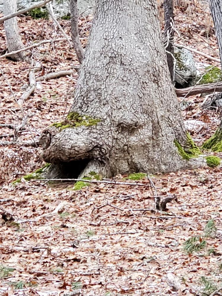 Dodge Point Public Reserved Land - Maine Trail Finder