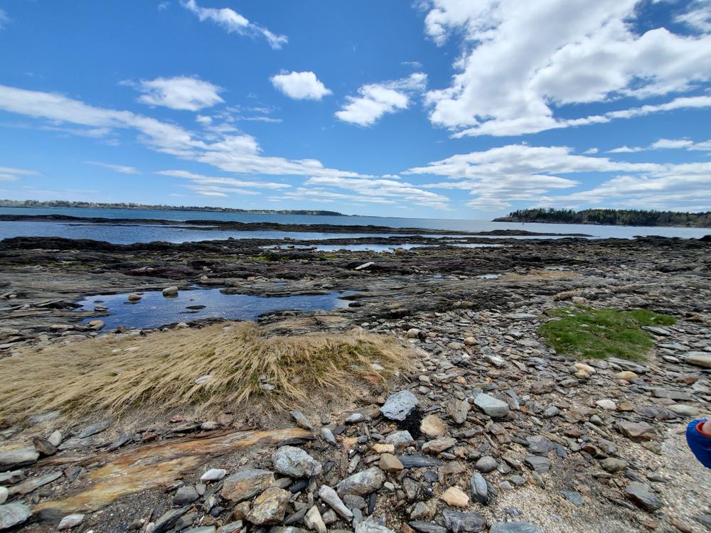 Potts Point Preserve - Maine Trail Finder