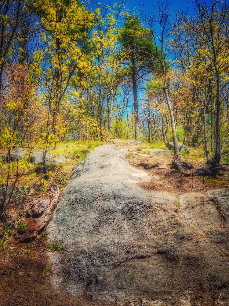 Raymond Community Forest - Maine Trail Finder