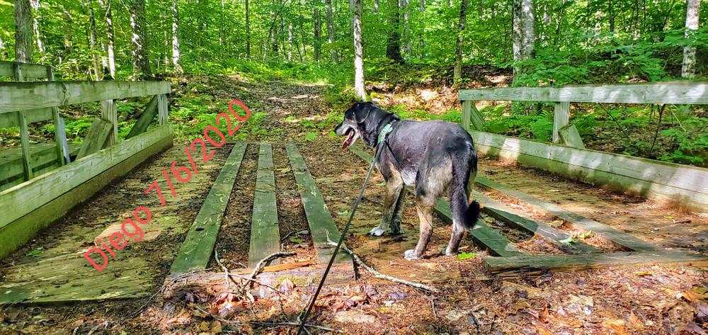 Five Fields Farm - Maine Trail Finder