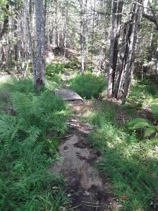 Beaver Park - Maine Trail Finder