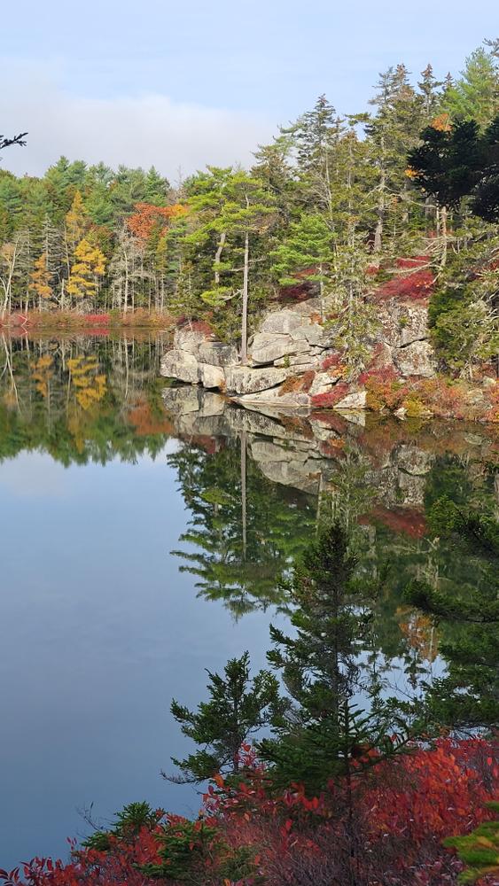 Peter's Pond - Maine Trail Finder