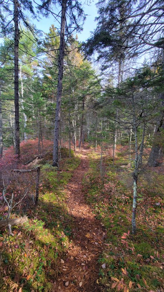 Peter's Pond - Maine Trail Finder