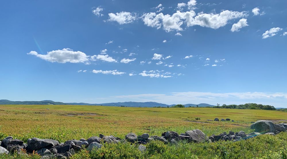 Clarry Hill - Maine Trail Finder