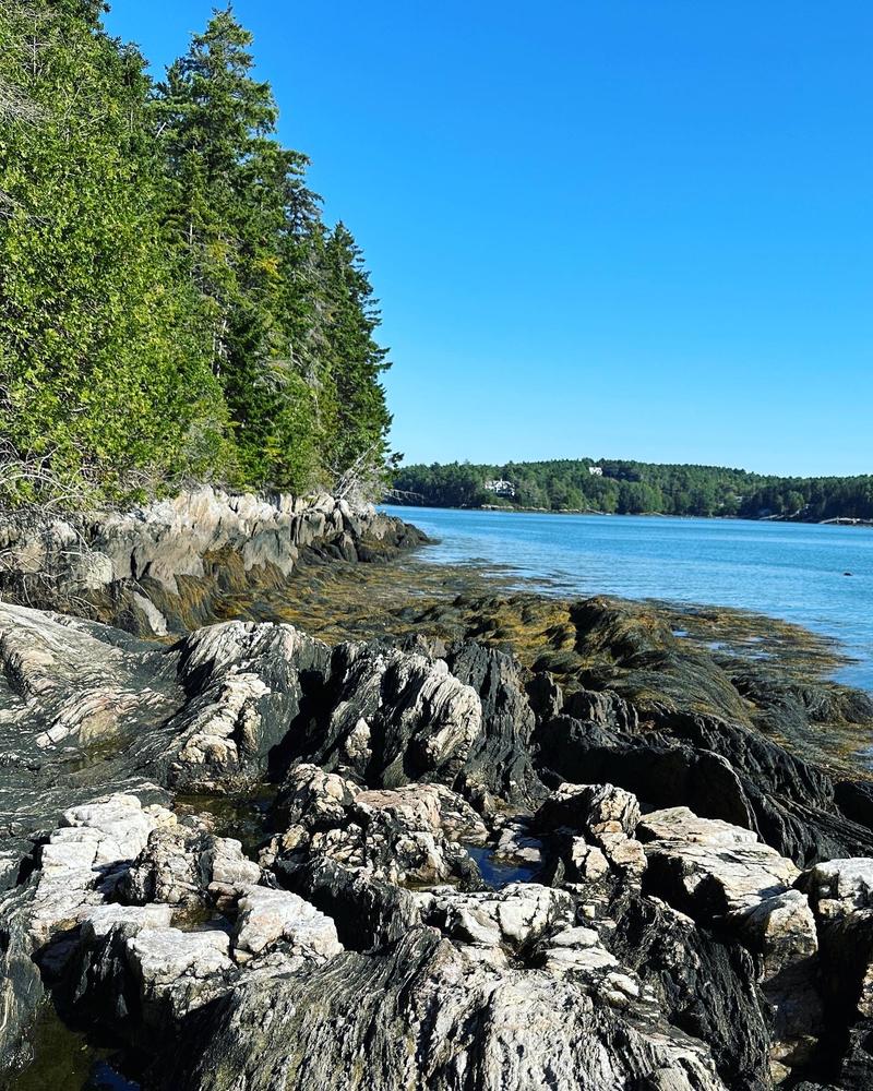Devil's Back Trail Area - Maine Trail Finder