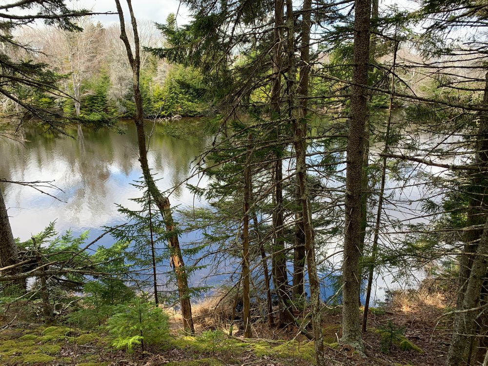 Ocean Point Preserve - Maine Trail Finder